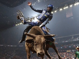 American Rodeo Polska tickets - PreZero Arena Gliwice, Gliwice 2025/09 ...